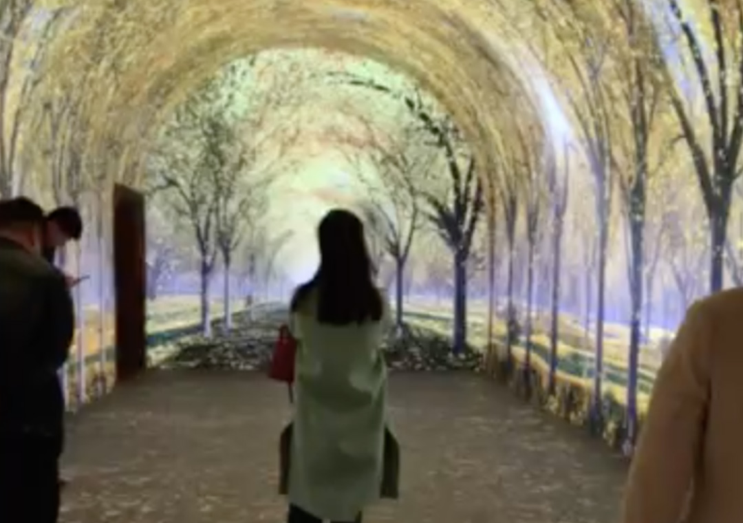 Video - HARBOR VISUAL